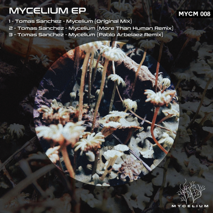 Mycelium - Release - Proton Radio