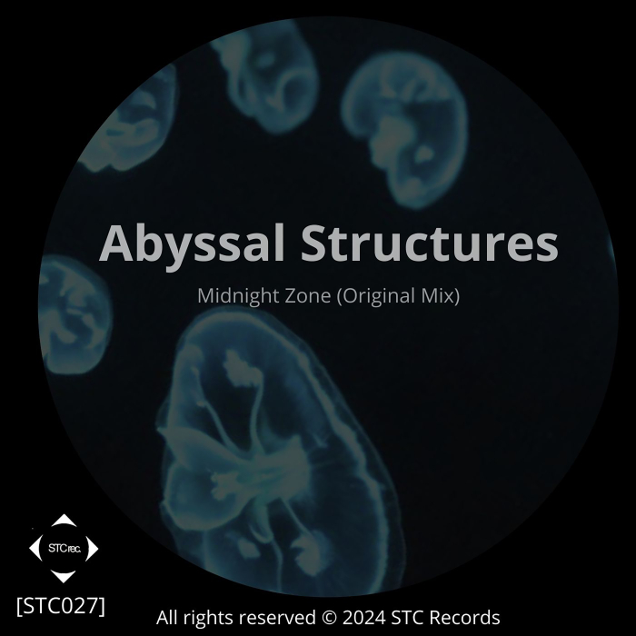 Midnight Zone by Abyssal Structures