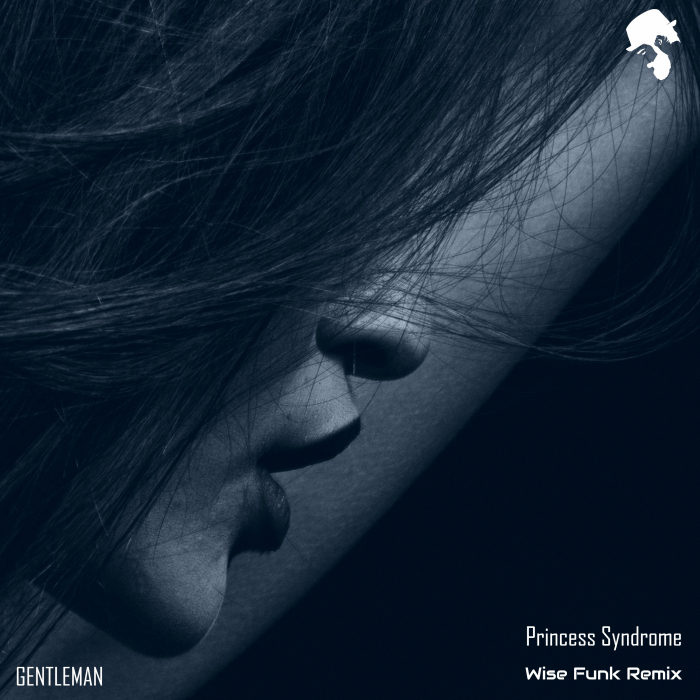 Princess Syndrome (Wise Funk Remix) by Gentleman (DJ) and Wise Funk