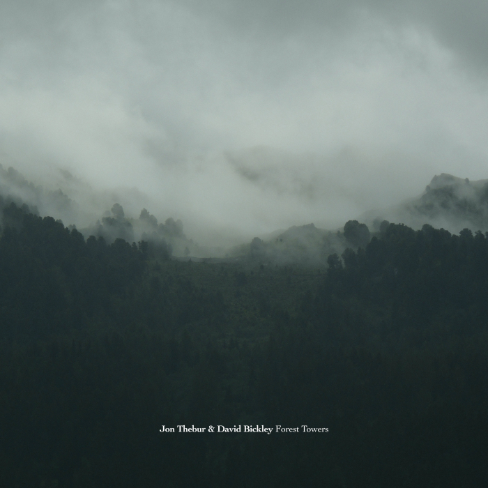 Forest Towers by Jon Thebur and David Bickley