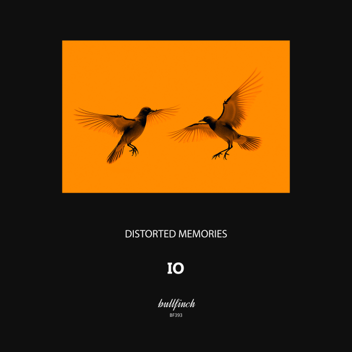 Io by Distorted Memories