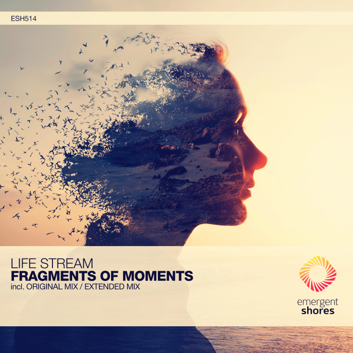 Fragments of Moments by Life Stream