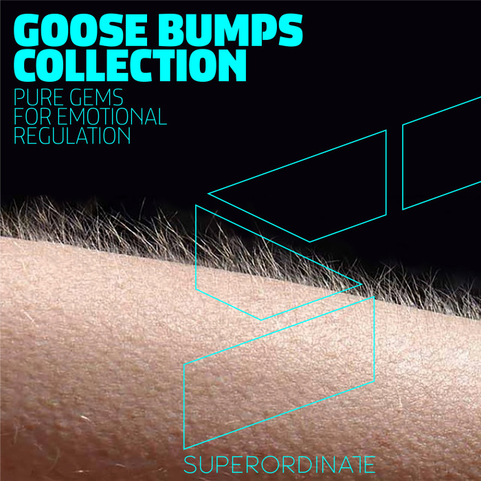 Goose Bumps Collection - Release - Proton Radio